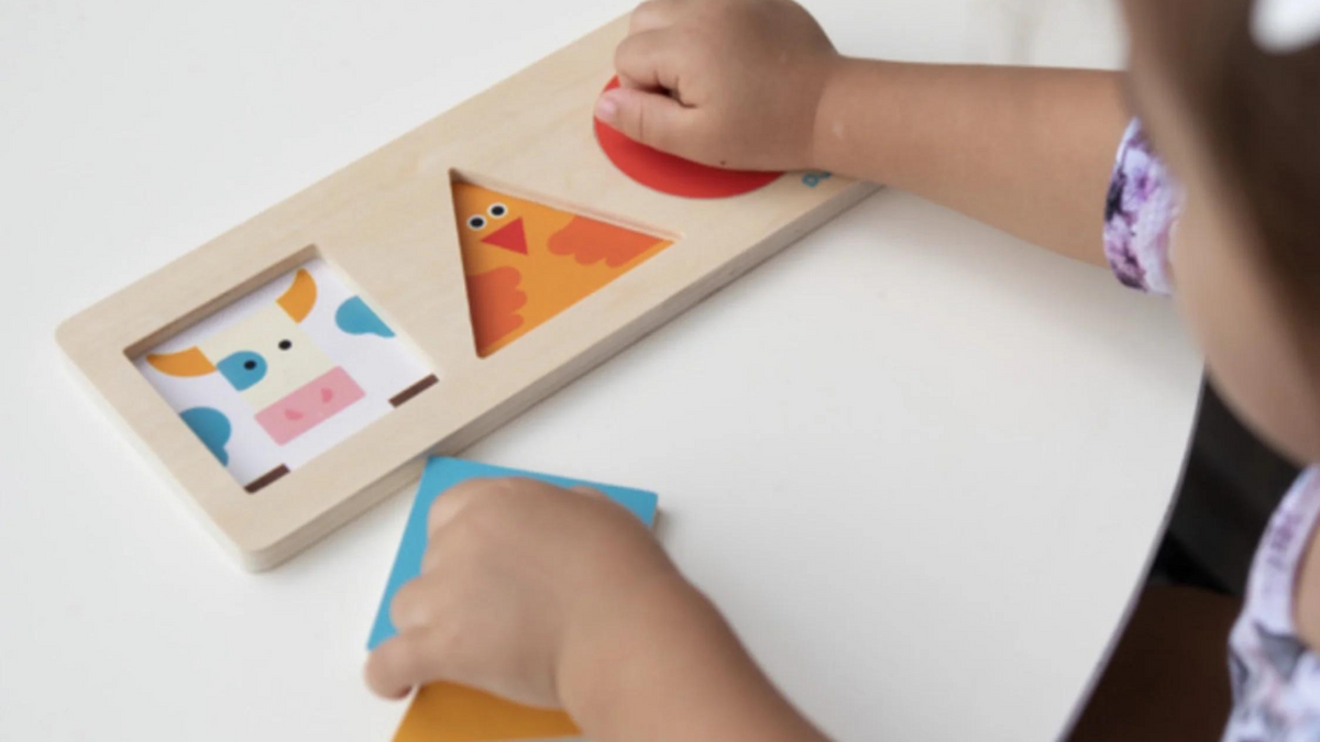 The Importance of Age-Appropriate Toys and Activities– Little Genius