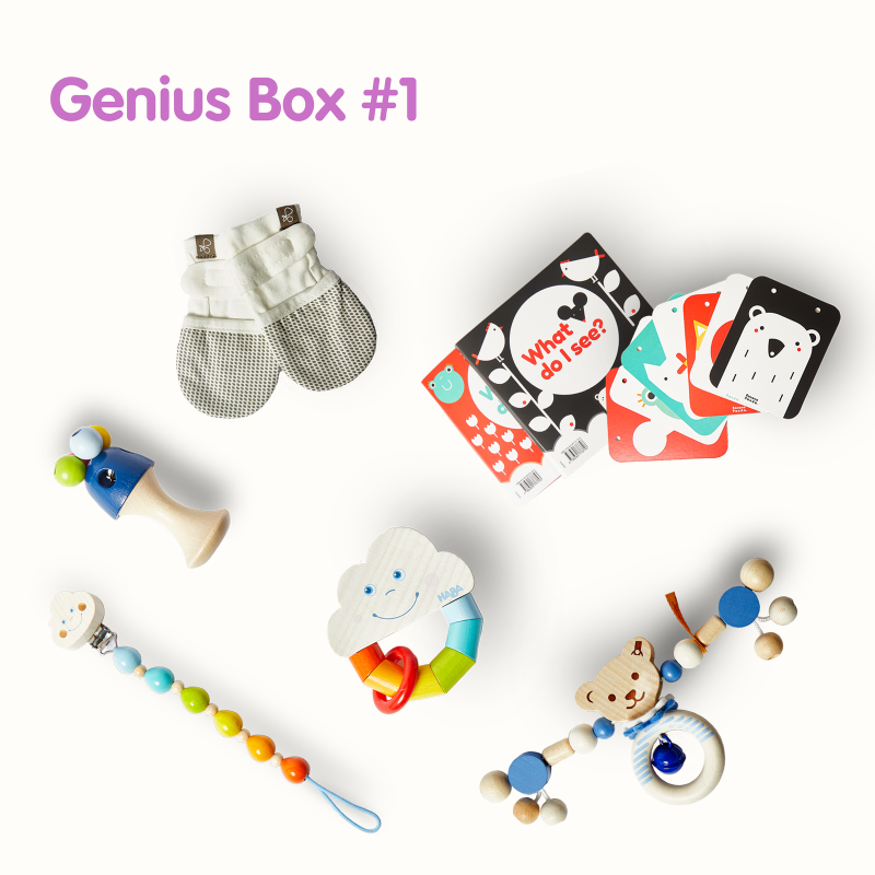 Baby Toy Subscription Genius Box 1: Better Together! (0-2 Months ...