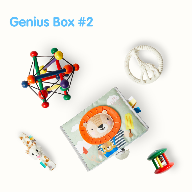 Baby Toy Subscription Genius Box 2: The Enchanted Months! (3-4 Months ...